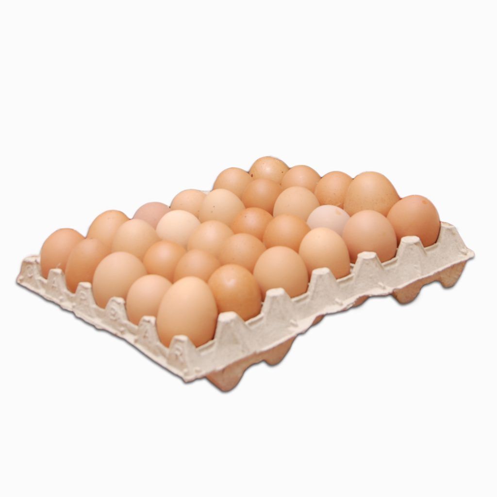 Cartón de huevos – Tiendas del Pollo